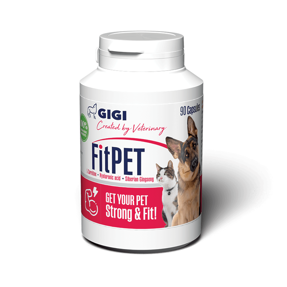 FitPet | Pet Supplement for Energy Boost And Metabolism – GIGI VET